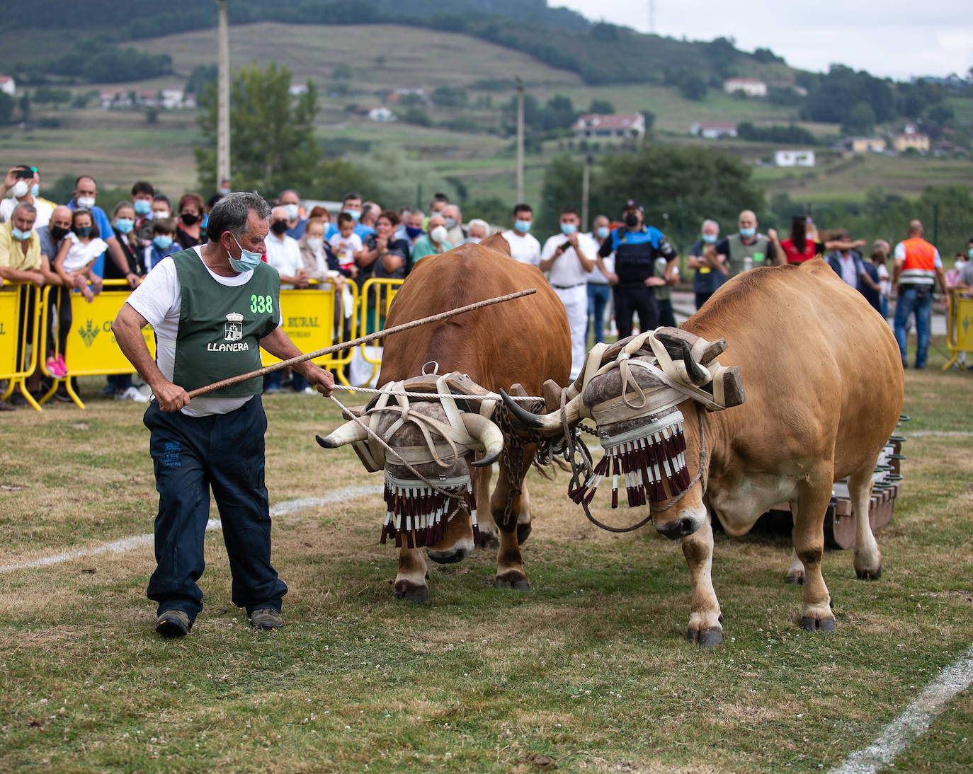 En imágenes: Broche de oro a la 'fiesta del campo' con el concurso de arrastre | El Comercio ...